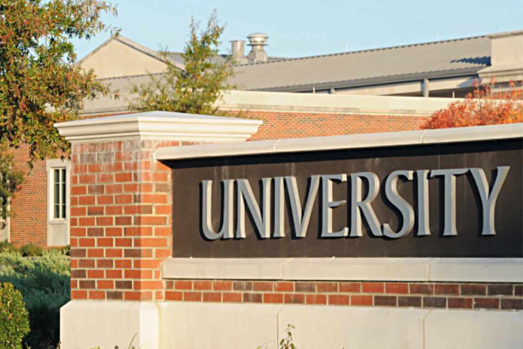 Top Universities in Japan: Programs, Costs, and What You Need to Know ...