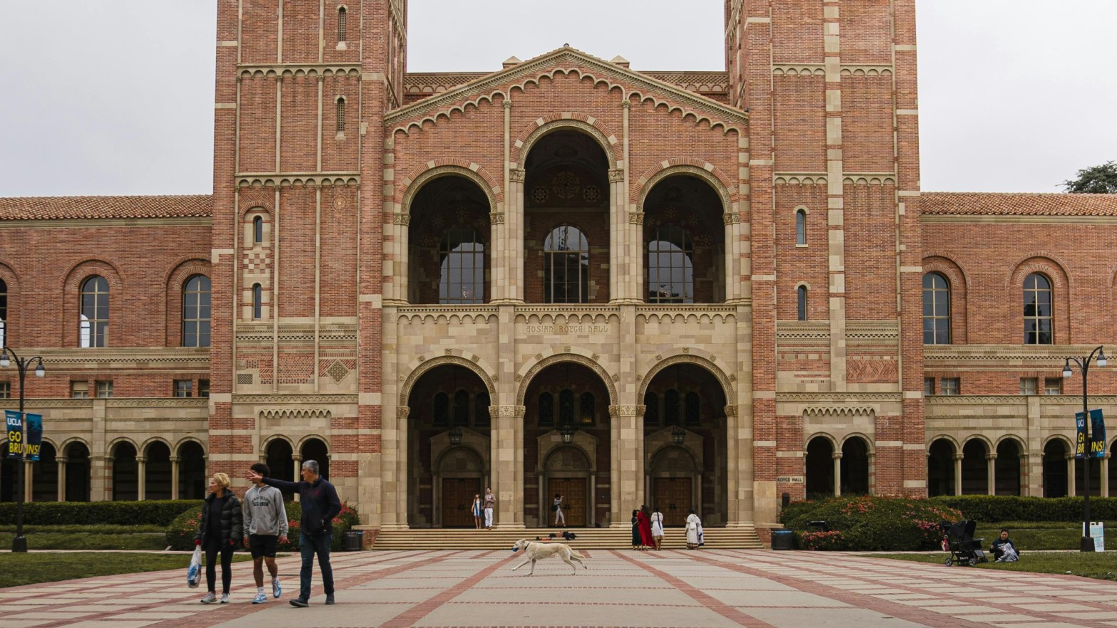 How to Get into UCLA University of California, Los Angeles - Futures Abroad